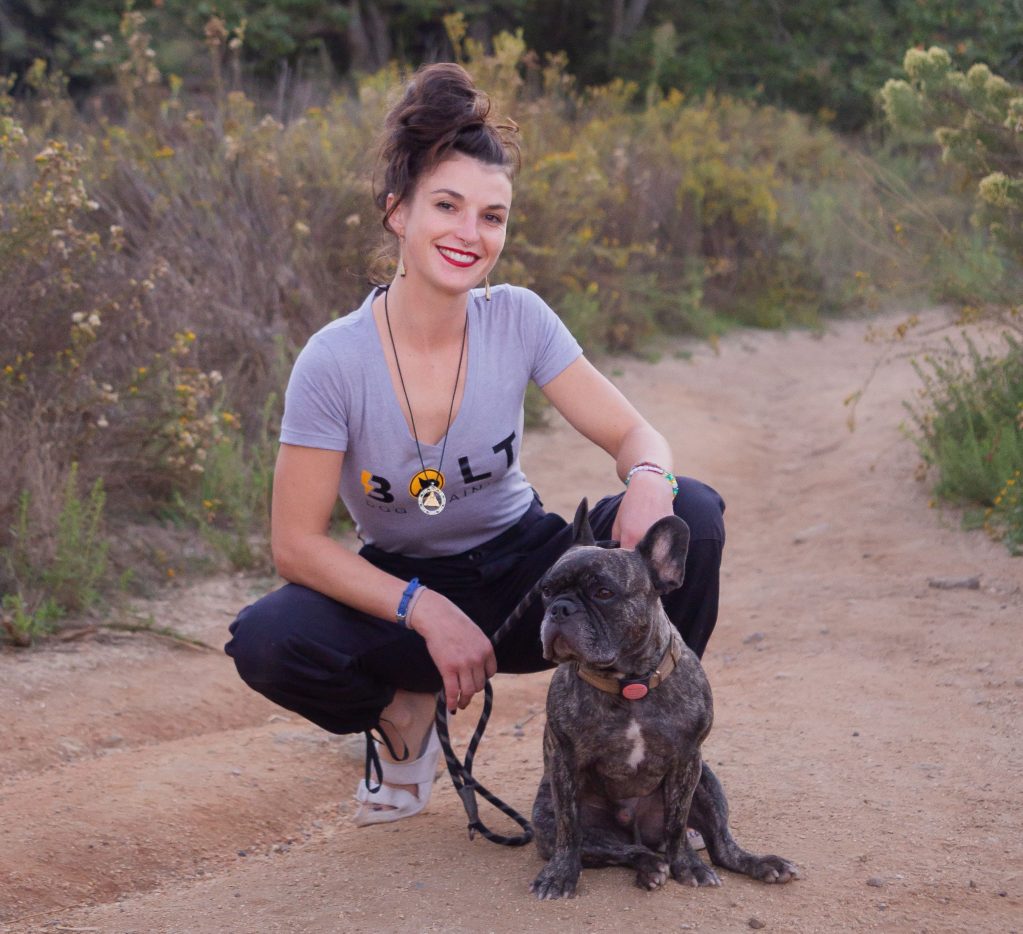 How Much Does It Cost to Train a Service Dog?